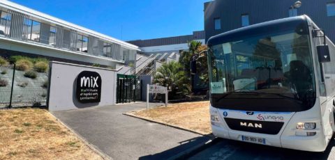 Mix Buffet - Salades traiteur, snacking, apéritif